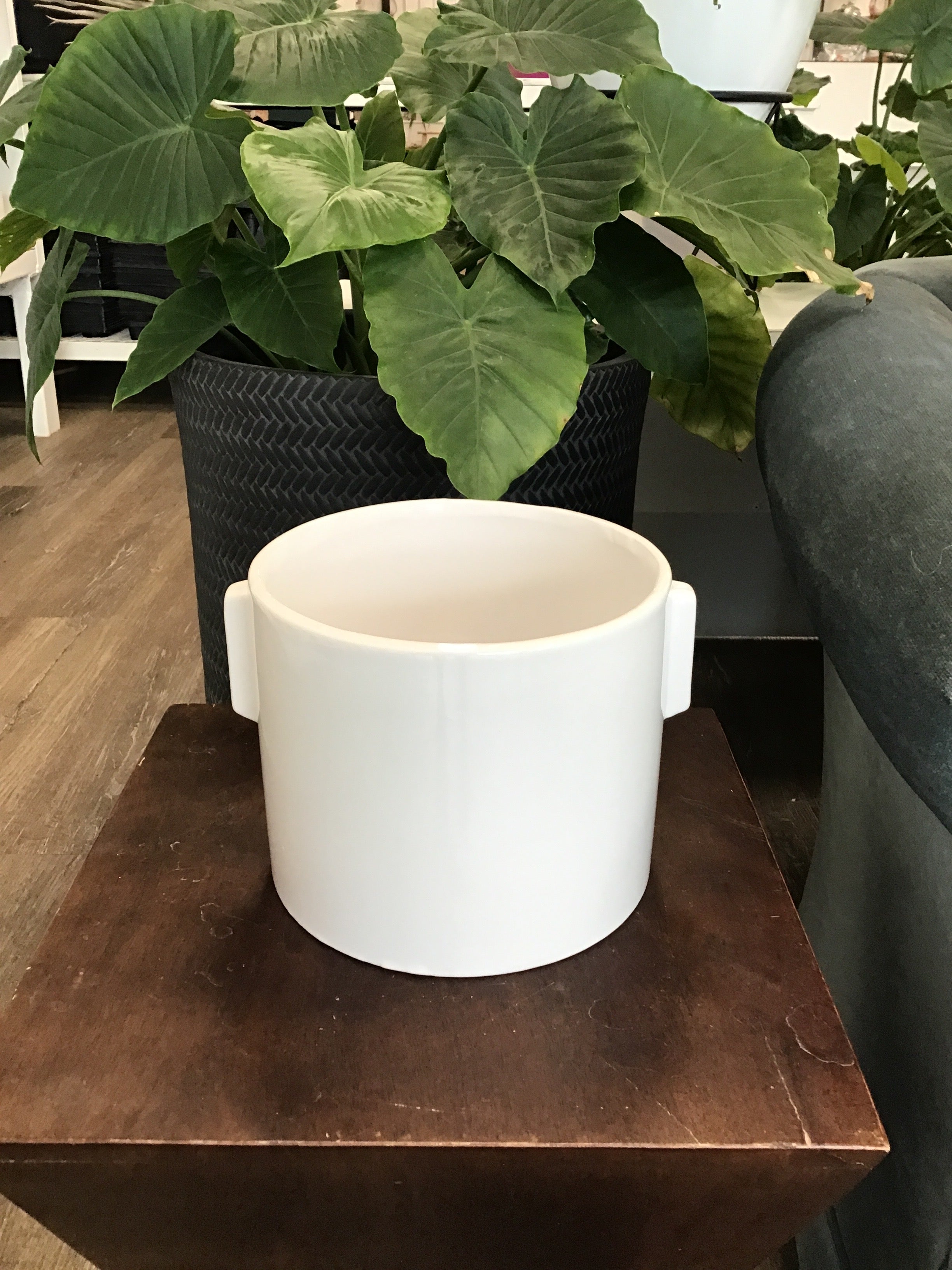 Big Ear Pot – wildflower.florist.sk